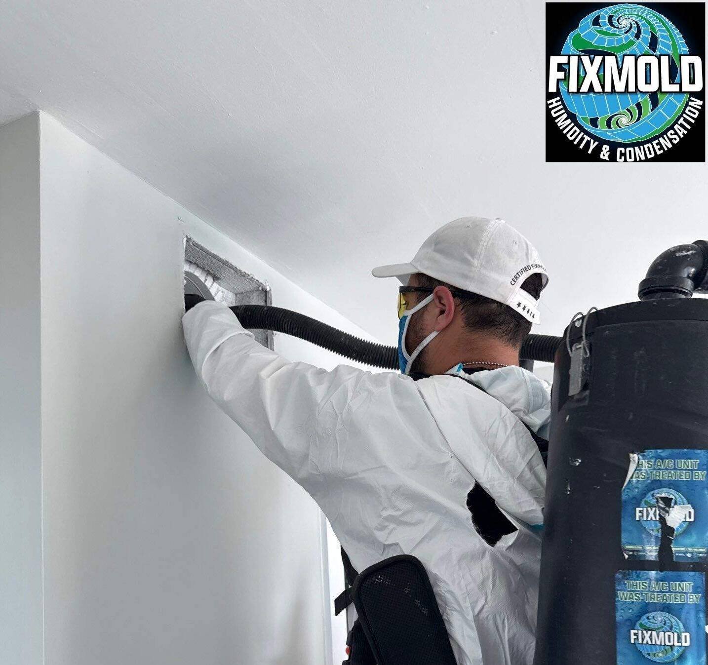 Hidden Mold in Homes: Signs, Risks & How to Find It | FixMold
